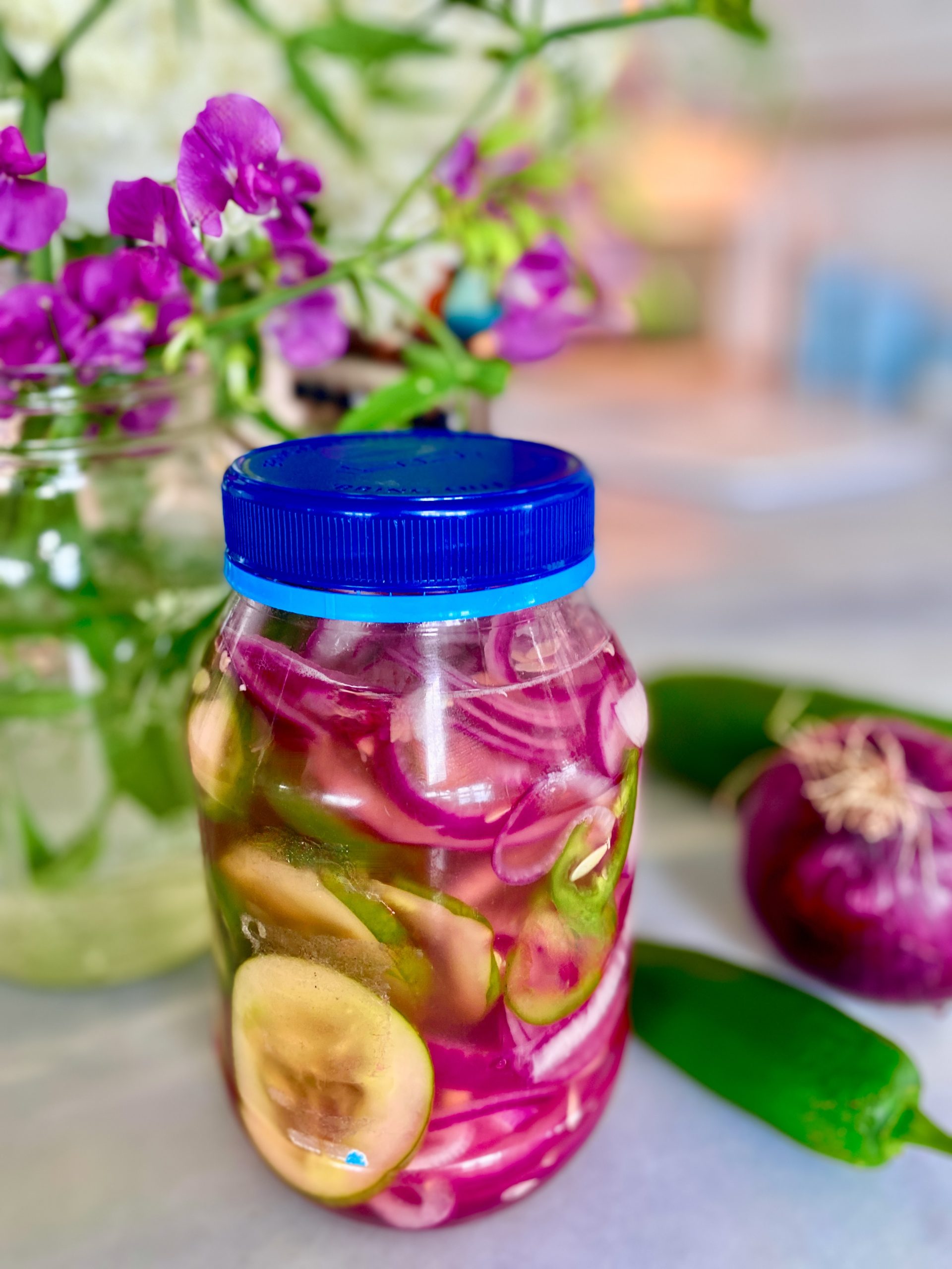 PICKLED RED ONIONS AND CUCUMBERS - Dish off the Block