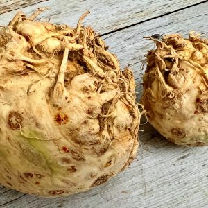 CELERY ROOT PUREE (CELERIAC) - Dish off the Block