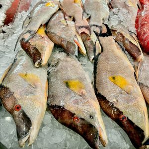 SUPERBLY HERBY MIAMI HOGFISH IN LEMON TARRAGON CREAM SAUCE WITH ANGEL ...